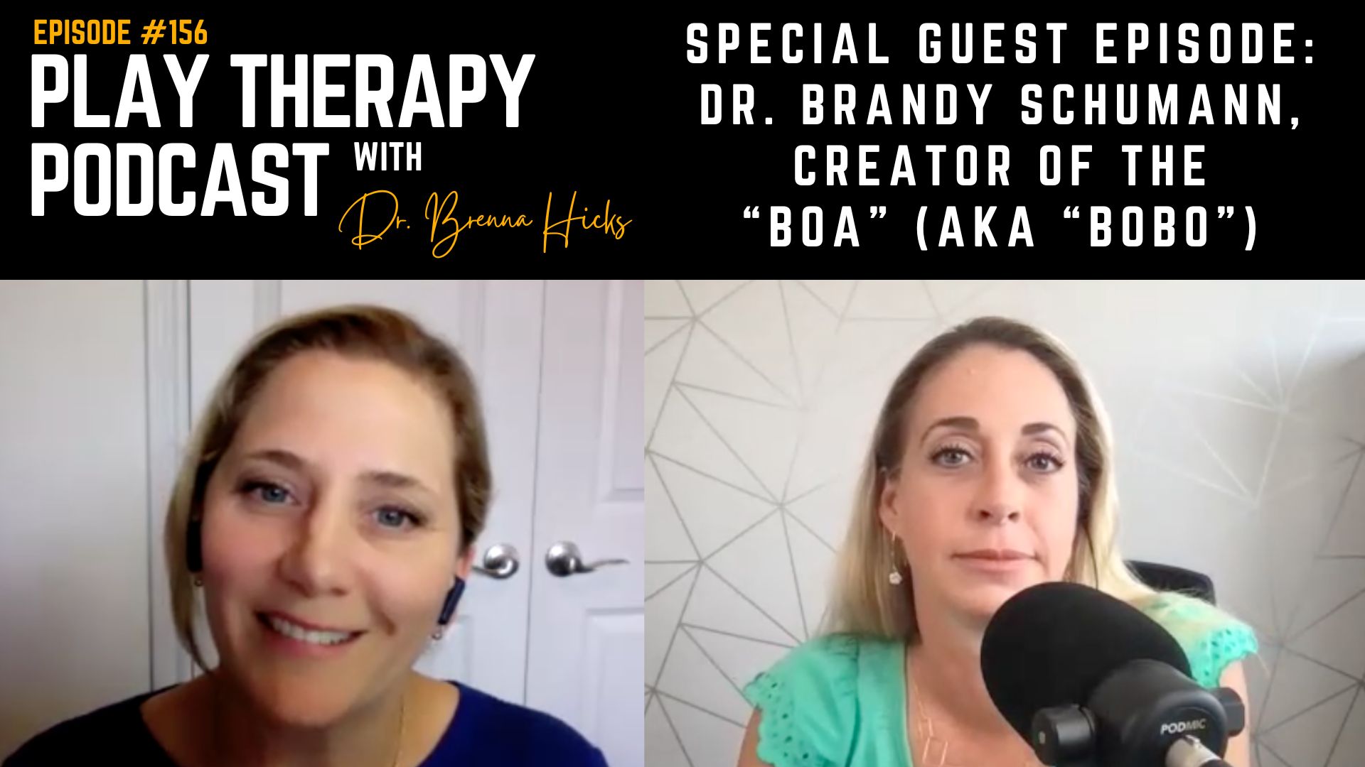 Special Interview: Dr. Brandy Schumann, Creator of the 2nd Most ...