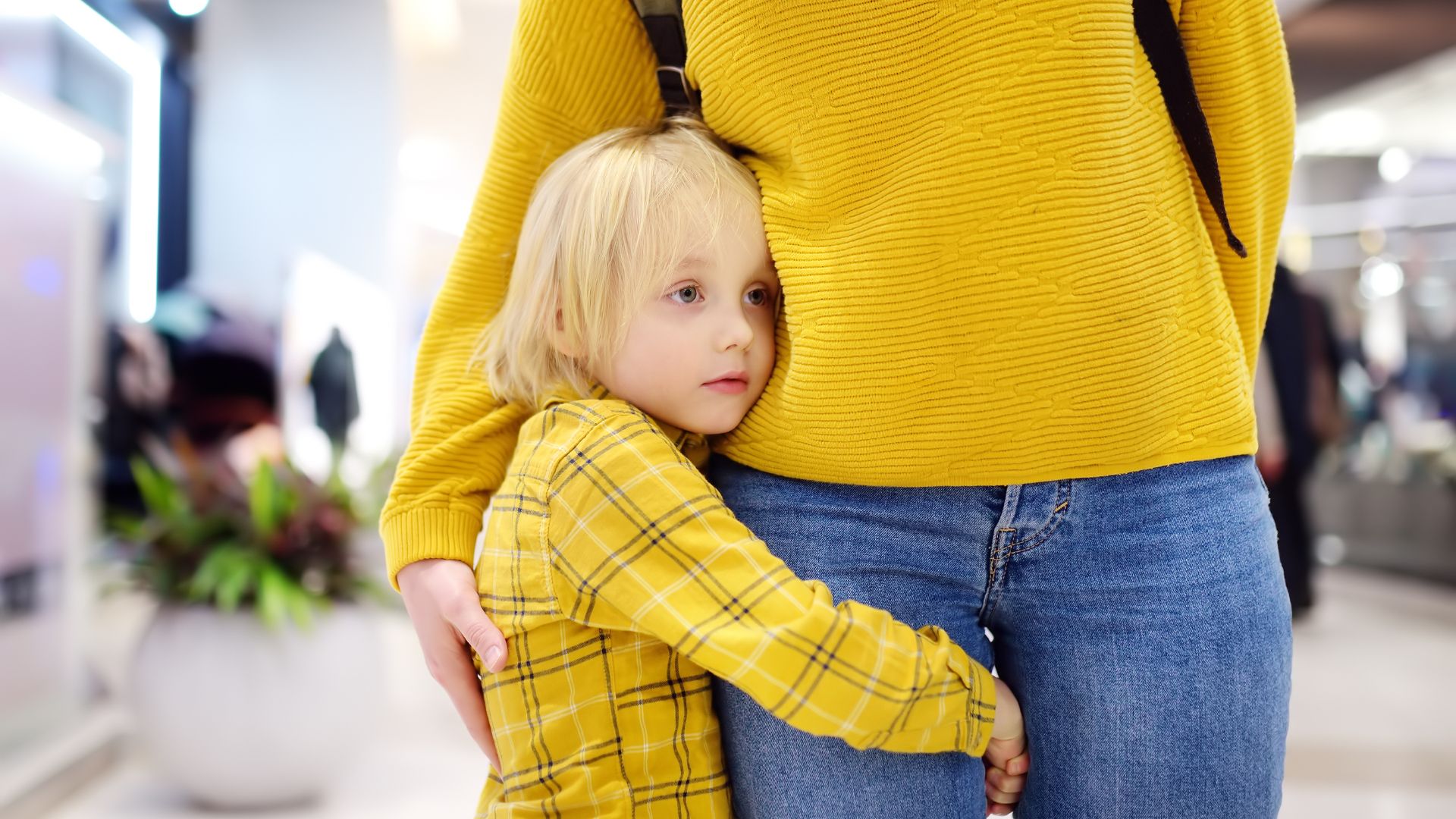 330 | From Over-Attachment to Avoidance: Making Sense of Child ...
